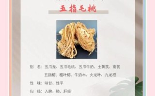 五指毛桃的功效与作用及禁忌是什么_五指毛桃哪些人不能吃