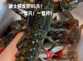 波士顿龙虾多少钱一斤2020_2020年波士顿龙虾价格走势