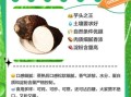 芋头怎么做好吃_芋头有哪些营养价值