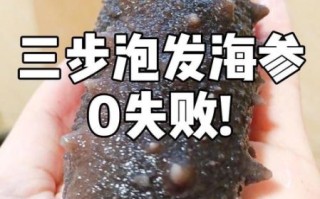 海参干怎么泡发_海参干泡发多久