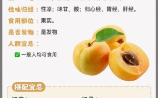 杏子不能和什么一起吃_杏子的禁忌有哪些