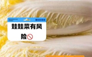 娃娃菜为什么不建议吃_娃娃菜吃多了有什么危害