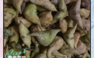 菱角怎么吃是正确的_生吃还是熟吃