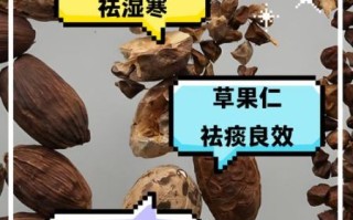 草果仁的功效与作用_草果仁怎么吃效果最好
