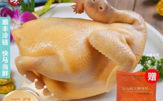 文昌鸡饭的做法_文昌鸡饭哪里最正宗