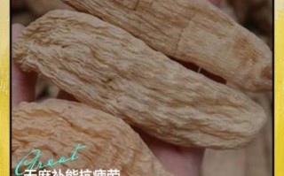 天麻怎么吃效果最好_天麻的正确食用方法