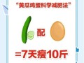 黄瓜减肥法一个月能瘦20斤吗_黄瓜减肥的正确吃法