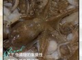 八爪鱼怎么清洗_八爪鱼清洗技巧