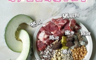 冬瓜排骨汤怎么炖好喝_冬瓜排骨的做法大全家常