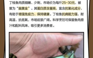 丁桂鱼喜欢吃什么饵料_丁桂鱼饵料配方大全