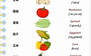 蔬菜的英文怎么写_vegetables复数形式怎么用