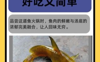 红烧黄辣丁鱼怎么做_黄辣丁鱼红烧要不要先煎