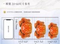 蟹状元大闸蟹怎么选_蟹状元大闸蟹价格贵吗