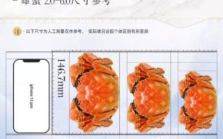 蟹状元大闸蟹怎么选_蟹状元大闸蟹价格贵吗