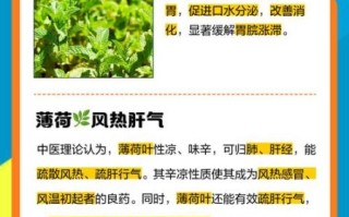 薄荷对妇科病有好处吗_薄荷治疗妇科炎症真的有效吗