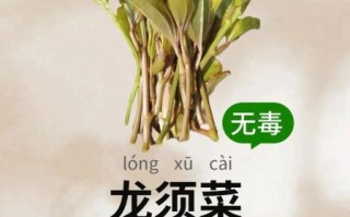 龙须菜的做法大全_龙须菜的功效与作用