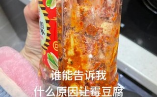 豆腐乳发霉了还能吃吗_发霉豆腐乳处理方法