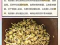 绿豆芽嘌呤高吗_痛风能吃绿豆芽吗