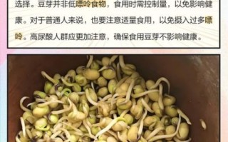 绿豆芽嘌呤高吗_痛风能吃绿豆芽吗
