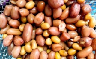 花生豆腐怎么做_花生豆腐家常做法大全