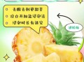 菠萝怎么吃才正确_菠萝用盐水泡多久