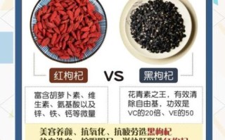 黑枸杞和红枸杞哪个好_区别功效价格全面对比