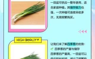 四季葱和小香葱的区别_哪个更香