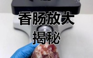 火腿肠制作过程_到底有多恶心