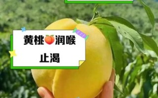 黄桃的功效与作用上火吗_黄桃吃多了会不会上火