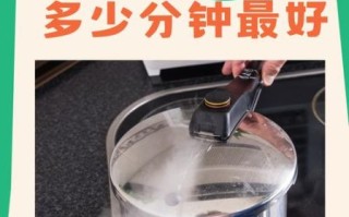 高压锅炖排骨要多长时间_高压锅炖排骨怎么做好吃