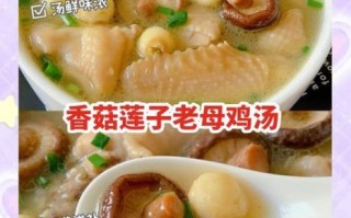 香菇鸡汤图片大全_如何炖出奶白高汤