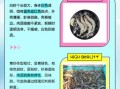 白虾和青虾的区别_哪个更好吃