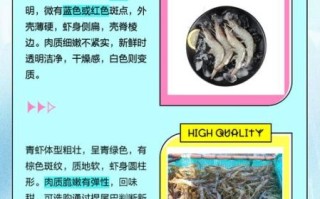 白虾和青虾的区别_哪个更好吃