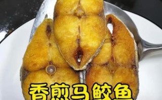 新鲜马鲛鱼怎么做好吃_马鲛鱼家常做法