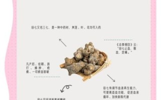 田七的功效与作用禁忌_田七怎么吃效果最好