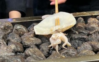 火山石烤鱿鱼怎么做_火山石烤鱿鱼好吃吗