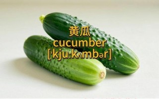 黄瓜的英文怎么读_cucumber发音技巧