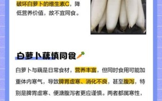 白萝卜不能和什么一起吃_白萝卜相克食物表