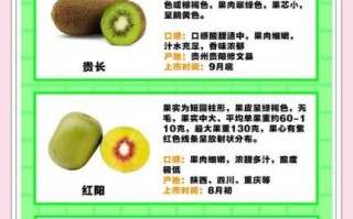 一天吃几个猕猴桃合适_吃多了会怎样