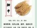 细辛的功效与作用_细辛主治哪些疾病