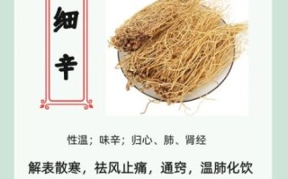 细辛的功效与作用_细辛主治哪些疾病