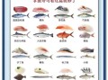寿司必备食材有哪些_寿司新手如何选料