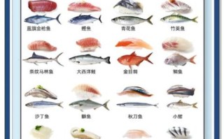 寿司必备食材有哪些_寿司新手如何选料