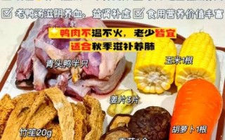 鸭汤怎么做好吃_鸭汤去腥增香的秘诀