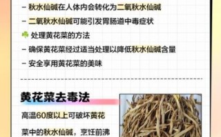 新鲜黄花菜为什么会引起呕吐_怎么处理才安全