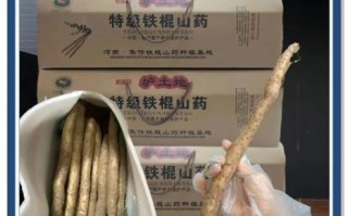 铁棍山药壮阳吗_铁棍山药能提高性功能吗