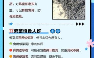 紫菜的营养价值及功效_紫菜可以天天吃吗