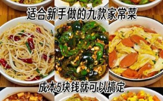 家常菜做法大全_新手也能学会吗