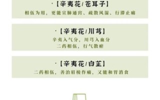 辛夷花有什么功效_辛夷鼻炎怎么用