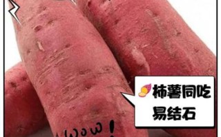 红薯吃多了有什么坏处_红薯不能和什么一起吃